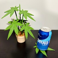 Doobie Den, Stoner Gift, Funny Marijuana Signs, Dispensary Decor ...