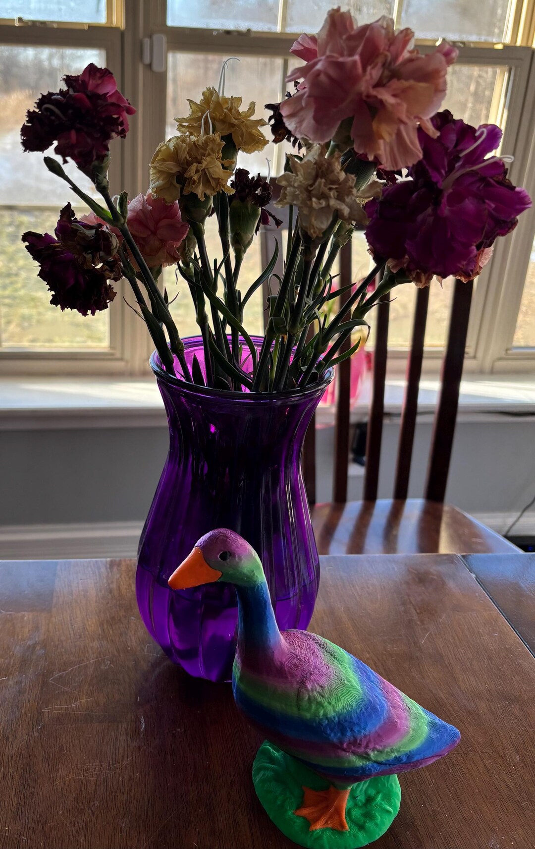 7 in Dark Goth Rainbow Desk Goose ( Limited Edition) - Etsy