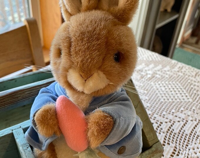 Sweet Vintage Plush Stuffed Peter Rabbit by EDEN Wind up Musical - Etsy