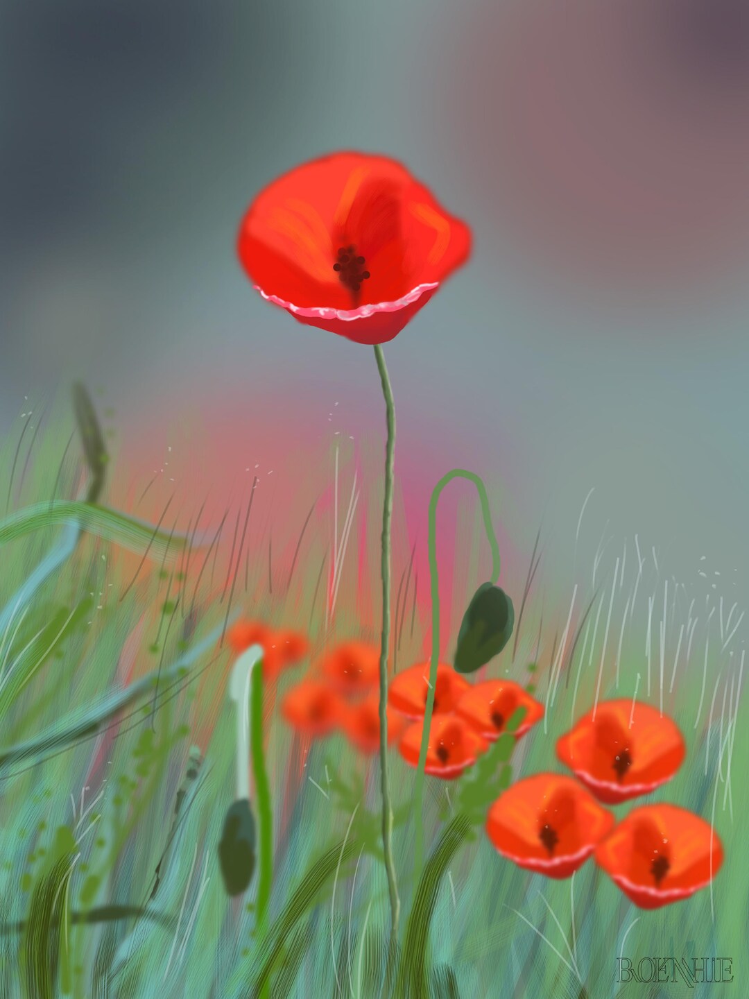 Red Poppy Flower - Digital Art - Printable - Instant Download - Etsy