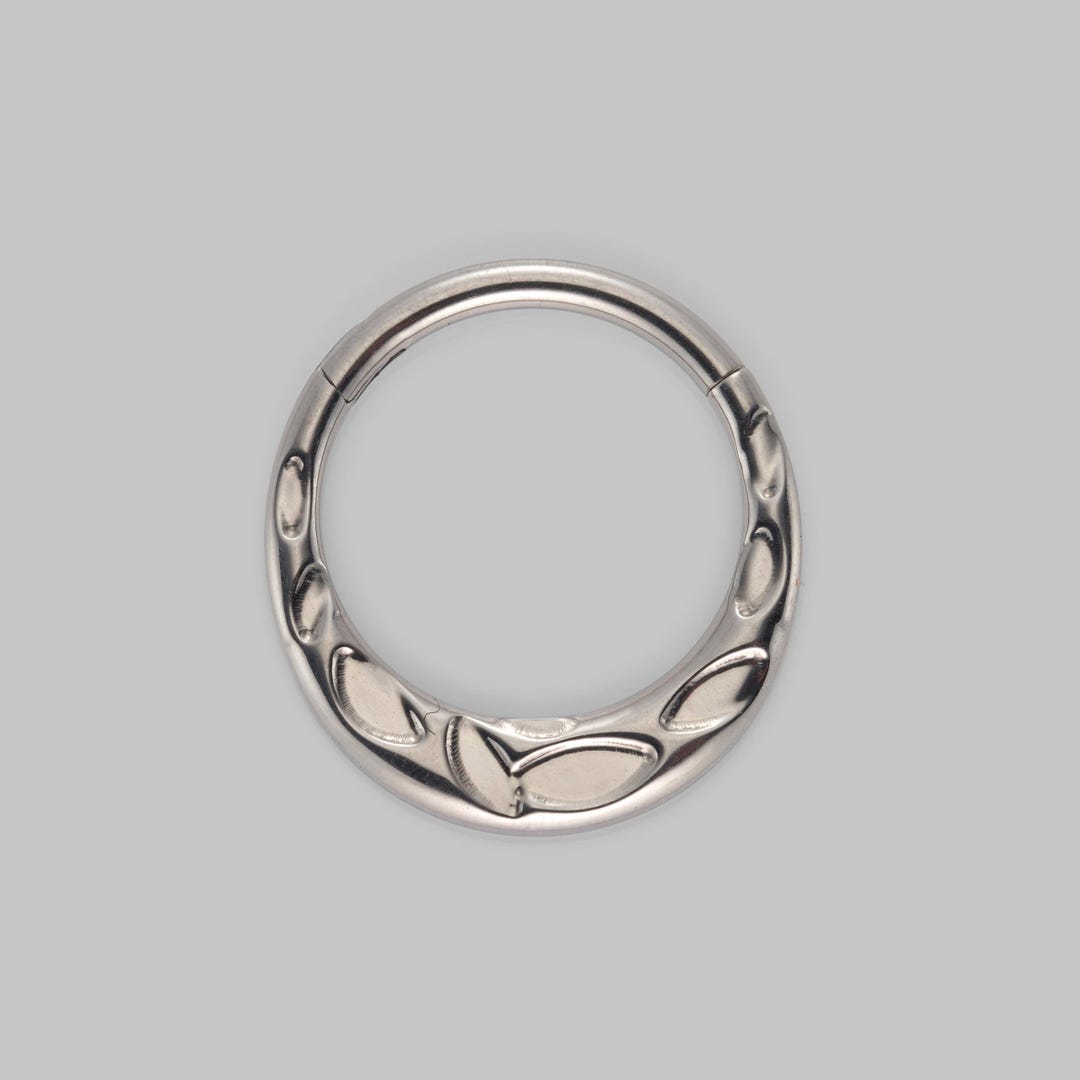 Titanium Forward Facing Hammered Segment Hoop in Silver 16G (1.2mm) for ...