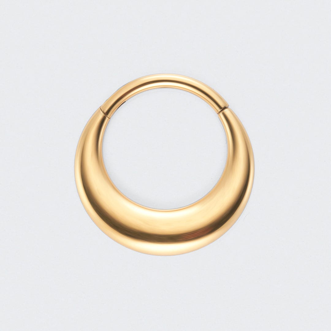16G Gold Titanium Fake Gauged Chunky Septum / Moon Segment Ring ...