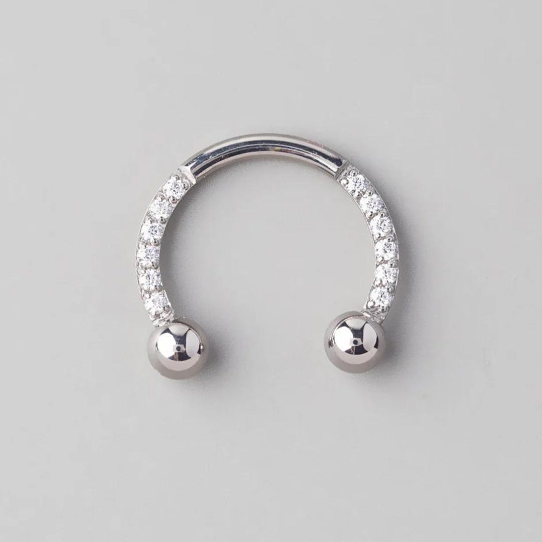 16G Titanium Silver Circular Barbell With CZ Stones/horseshoe Earring ...