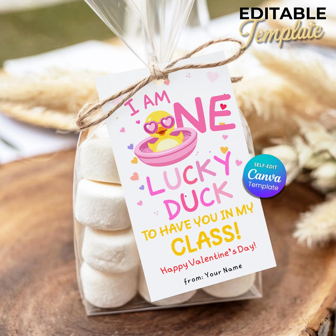 Teacher Valentine Gift Tag Printable, Lucky Duck Classroom Valentine ...