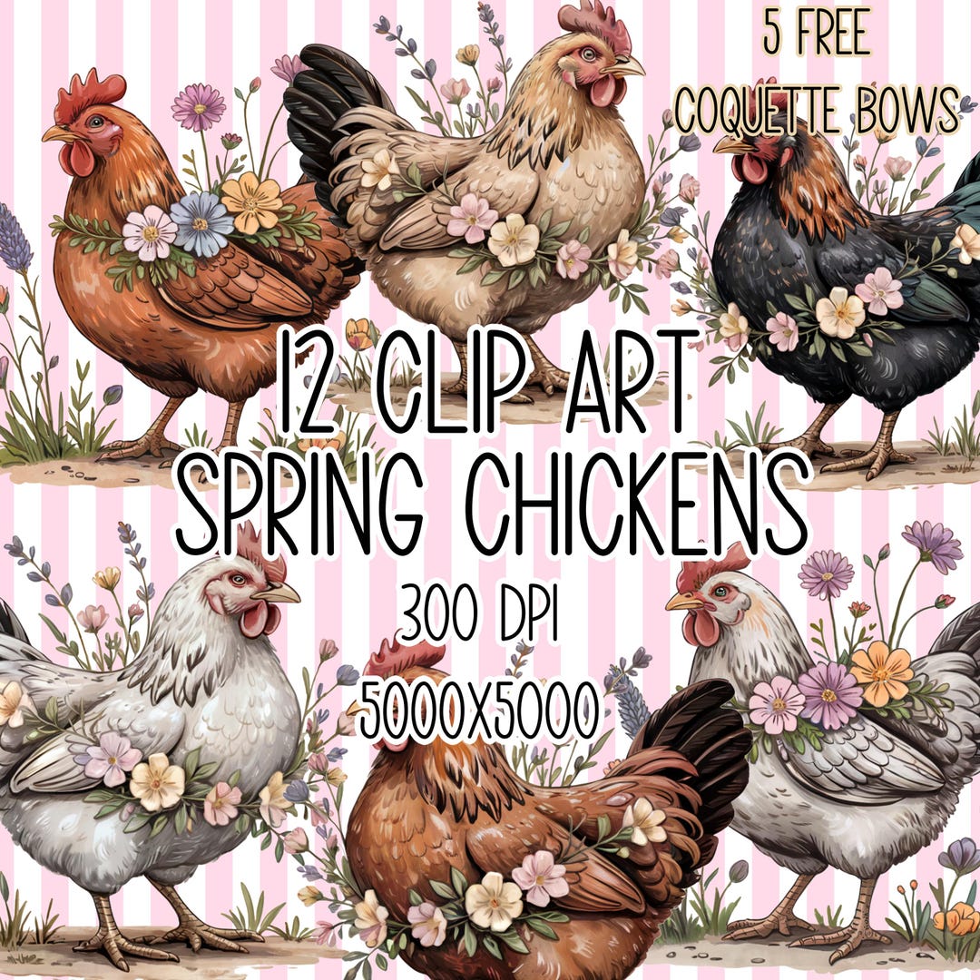 Country Farmhouse Chicken Clipart Spring Farm Animal PNG of Barnyard ...