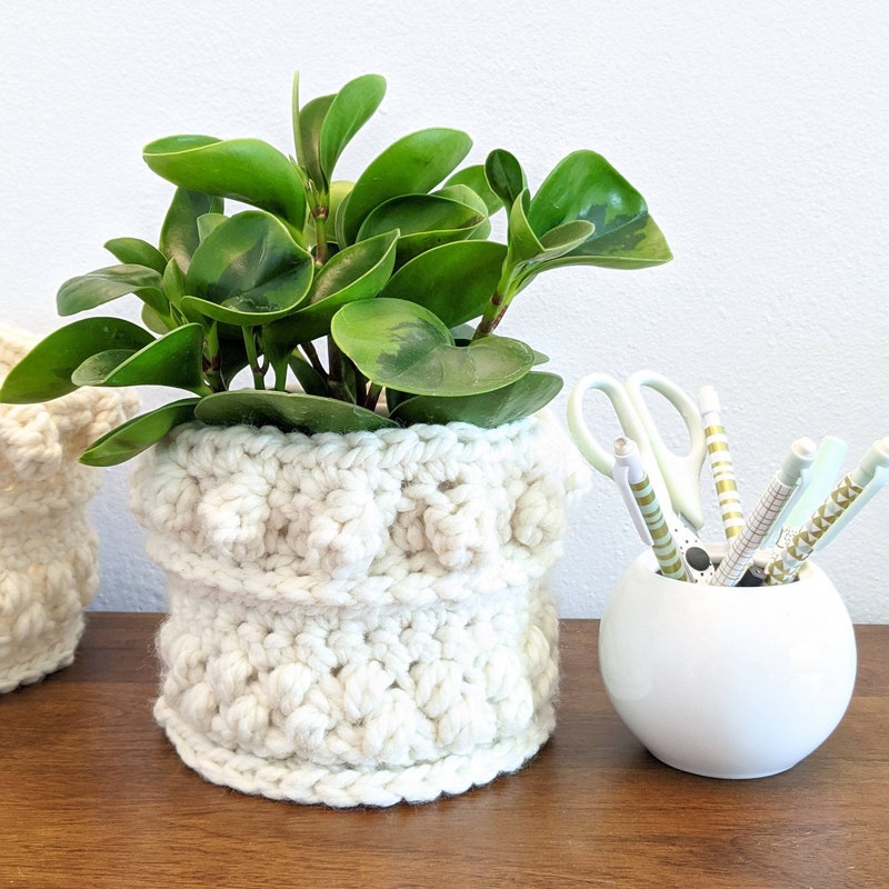 Crochet Indoor Plants - Etsy