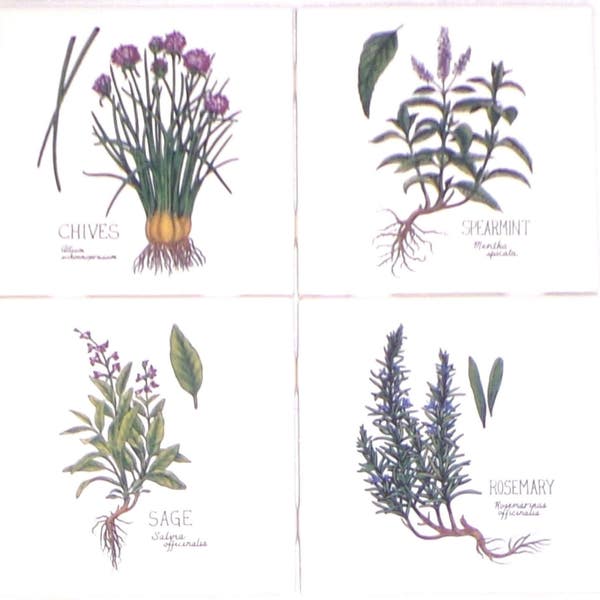 Botanical Tile - Etsy