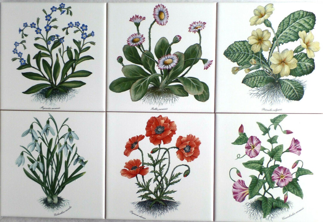 Ceramic Botanical Flower Ceramic Tile Set of 6 / 6x6"" Poppies Morning ...
