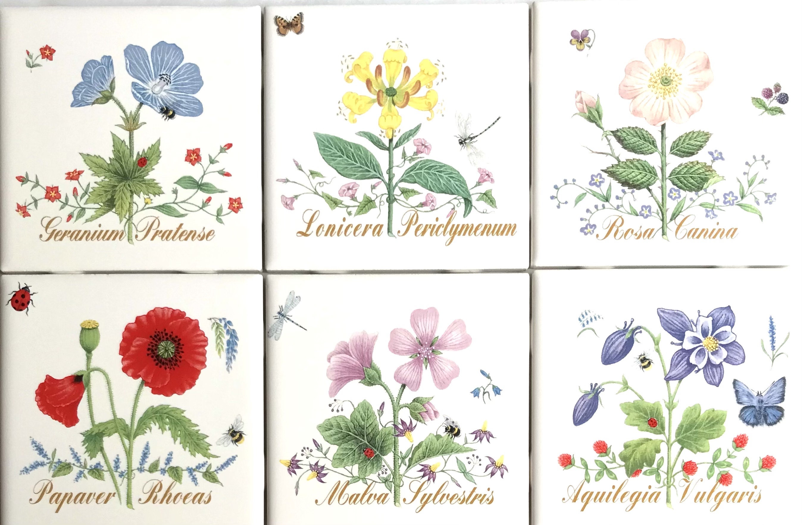 Ceramic Botanical Flower Ceramic Tile Set of 6 / 4.25 X 4.25 Kiln Fired ...
