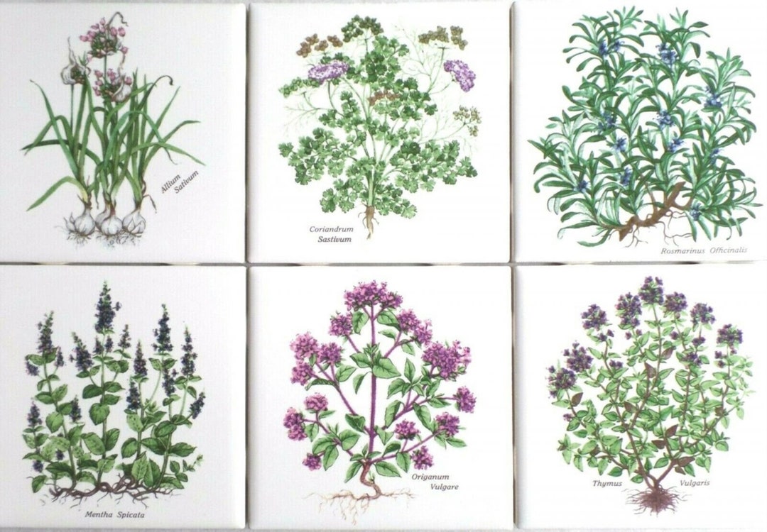 Ceramic Botanical Herb Ceramic Tiles Set 6 / 4.25" X 4.25" Kiln Fired ...