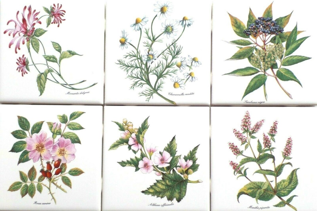 Ceramic Botanical Tea Herb Botanical Flower Ceramic Tiles Set of 6 of 4 ...