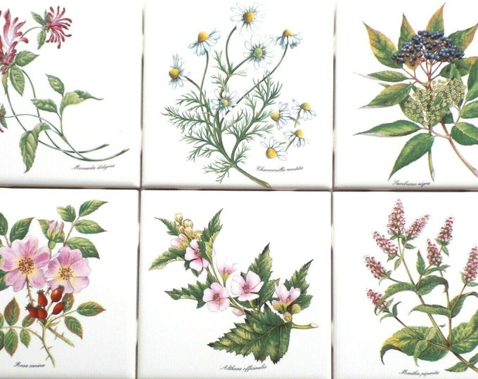 Ceramic Botanical Tea Herb Botanical Flower Ceramic Tiles Set of 6 of 4 ...