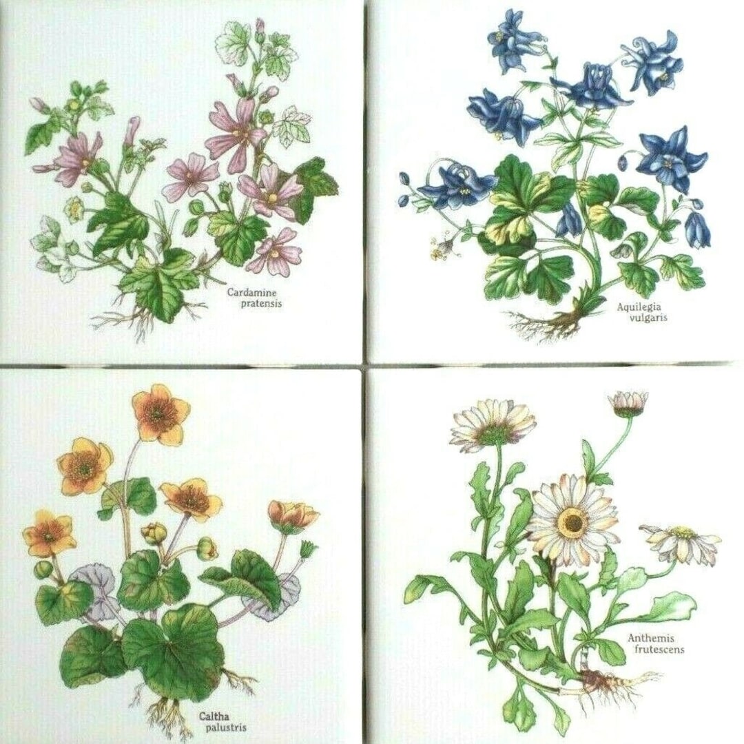 Ceramic Botanical Flower Herb Ceramic Tile 4 of 4.25" X 4.25" Aquilegia ...
