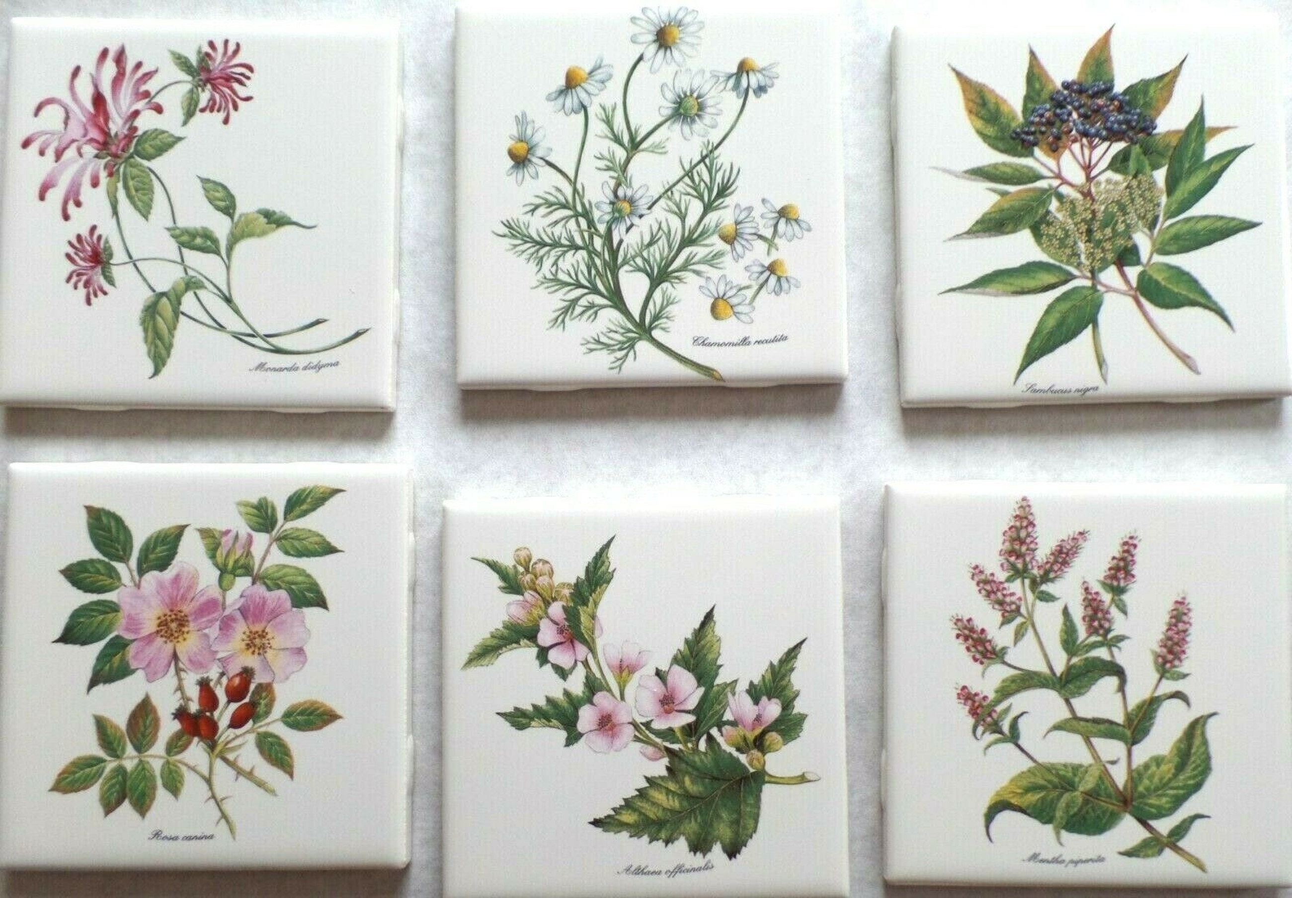 Ceramic Botanical Tea Herb Botanical Flower Ceramic Tiles Set of 6 of 4 ...