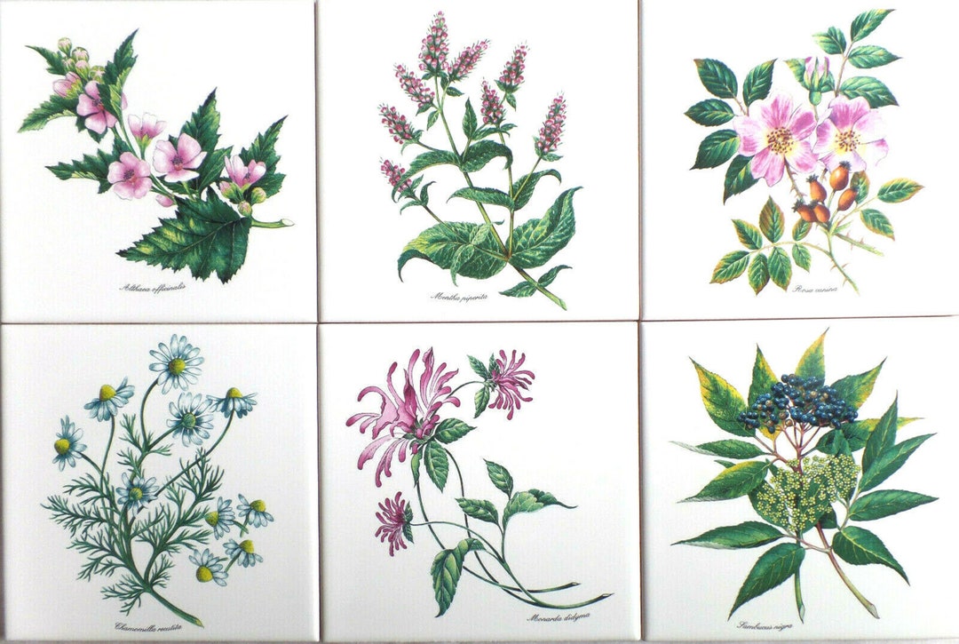 6" X 6" Size Botanical Tea Herb Flower Ceramic Tiles Set of 6 Kiln ...