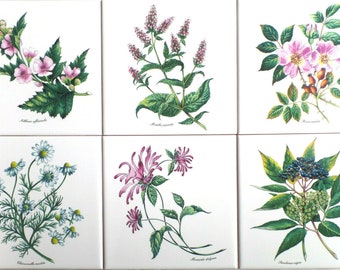 Botanical Green Herb Ceramic Tile 4 of 4.25 X 4.25 - Etsy