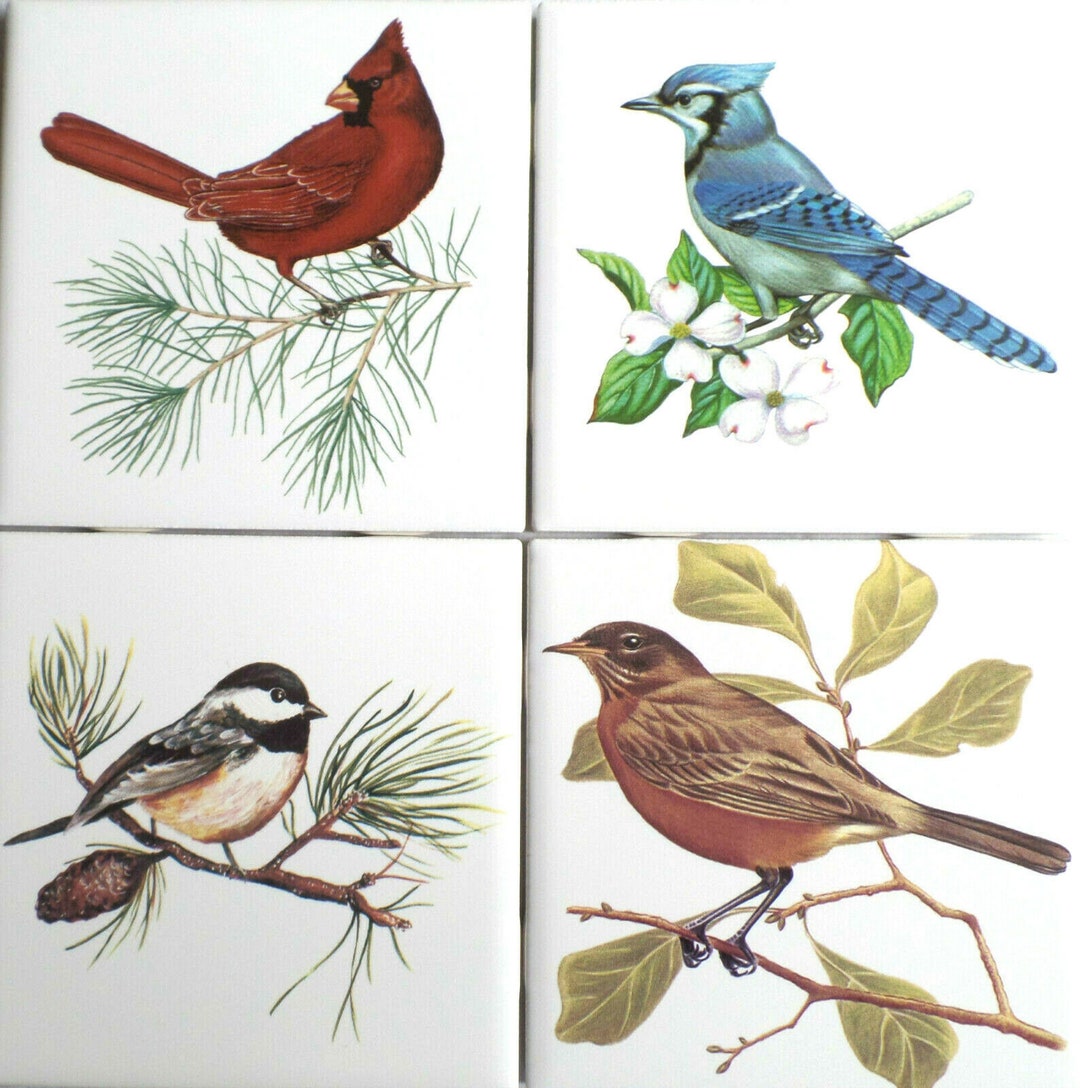 Ceramic Decor A Beautiful Birds Ceramic Tile Set 4 of 4.25" X 4.25 ...