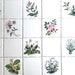 Ceramic Botanical Tea Herb Botanical Flower Ceramic Tiles Set of 6 of 4 ...