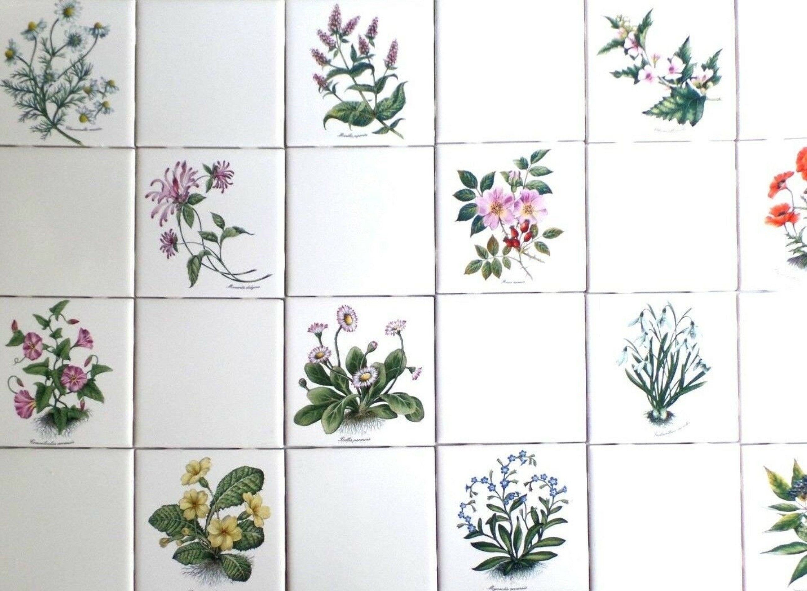 Ceramic Botanical Tea Herb Botanical Flower Ceramic Tiles Set of 6 of 4 ...