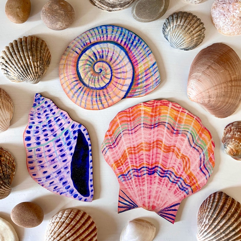 Seashell Wall Art - Etsy