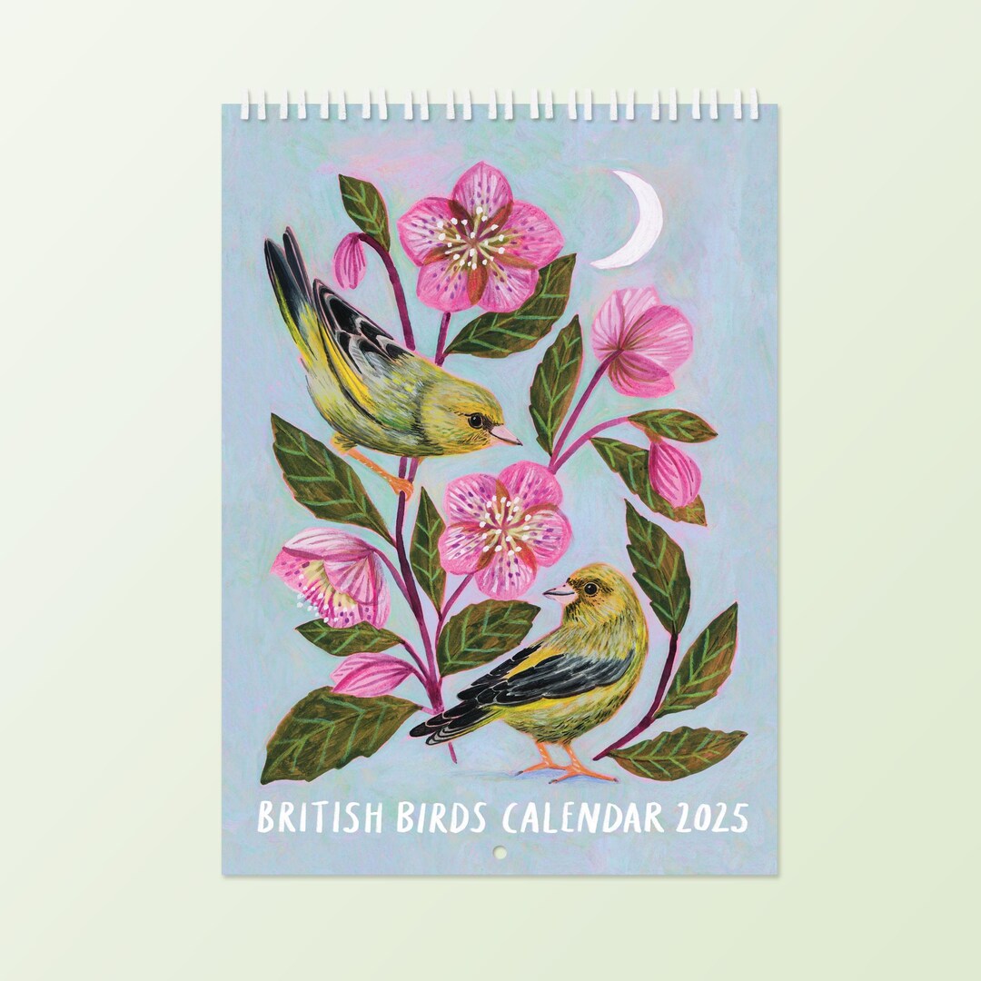 British Birds 2025 Wall Calendar PRE-ORDER Illustrated Calendar, Garden ...