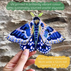 Wooden Moth Wall Decoration, Maximalist Home Decor, Insect Ornament ...