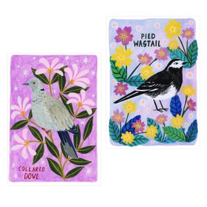 Art Poster Bundle 12 Designs to Choose From, British Garden Birds, Set ...
