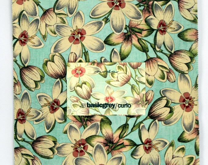 Curio Layer Cake by Basicgrey - Moda Fabrics - Etsy