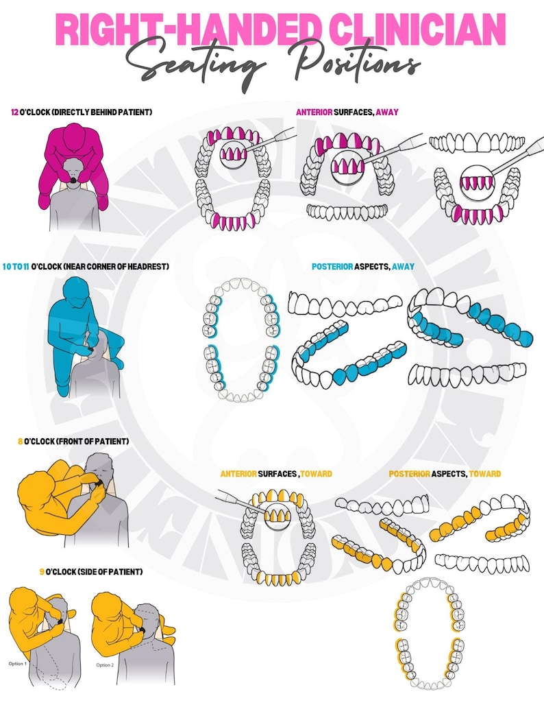 Dental Seating Positions - Right Handed - Etsy