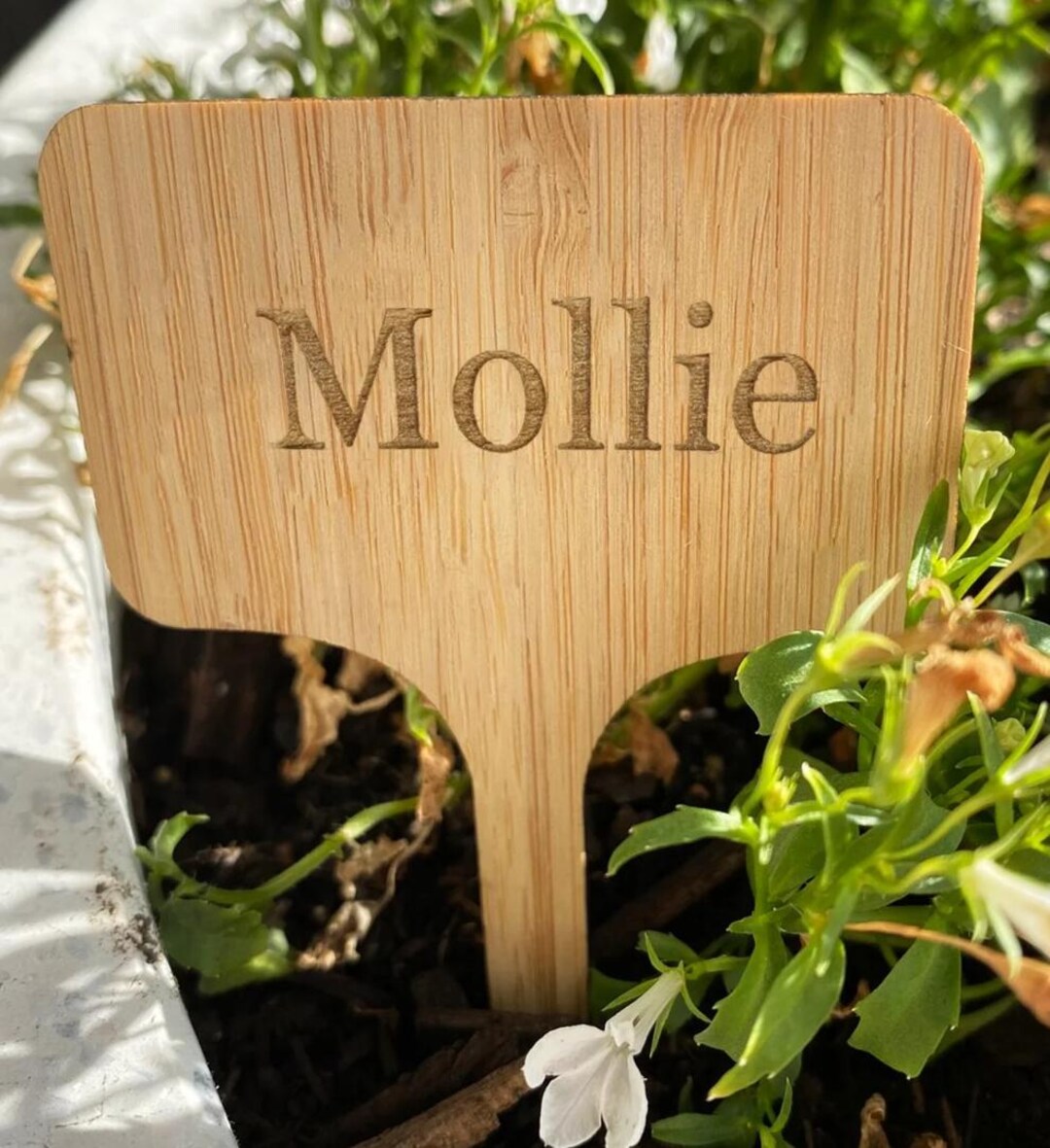 Personalized Plant Markers Made of Bamboo Herb Markers With Engraving ...