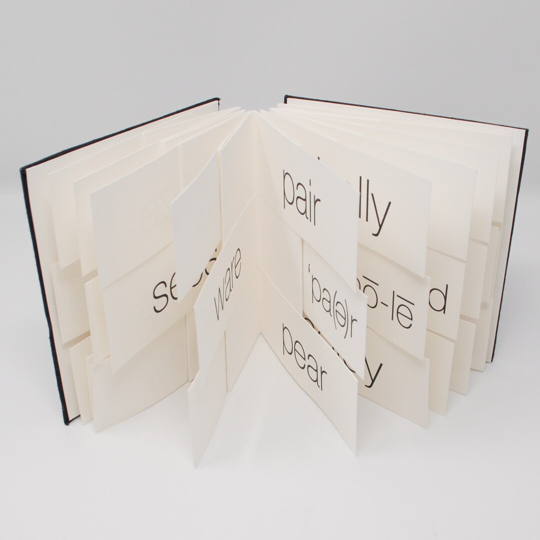Artist Book / Limited Edition / I Hate English / Flag Book / Homophones ...