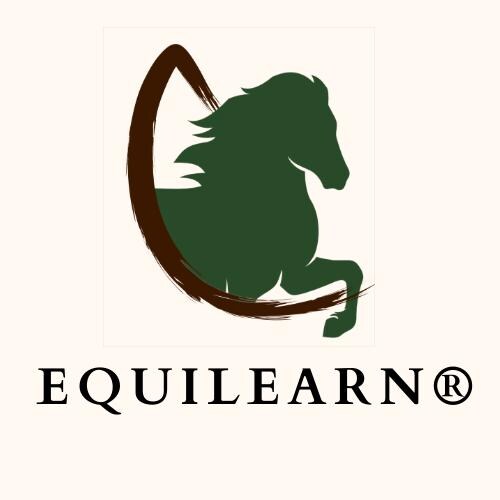EquiLearn - Etsy