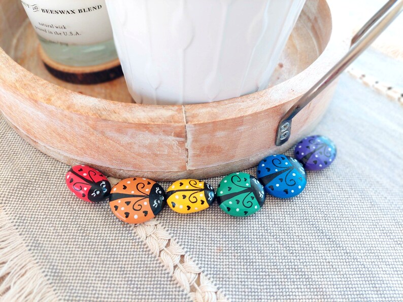Painted Kindness Rocks Ladybug Rocks Rainbow Stones Garden - Etsy