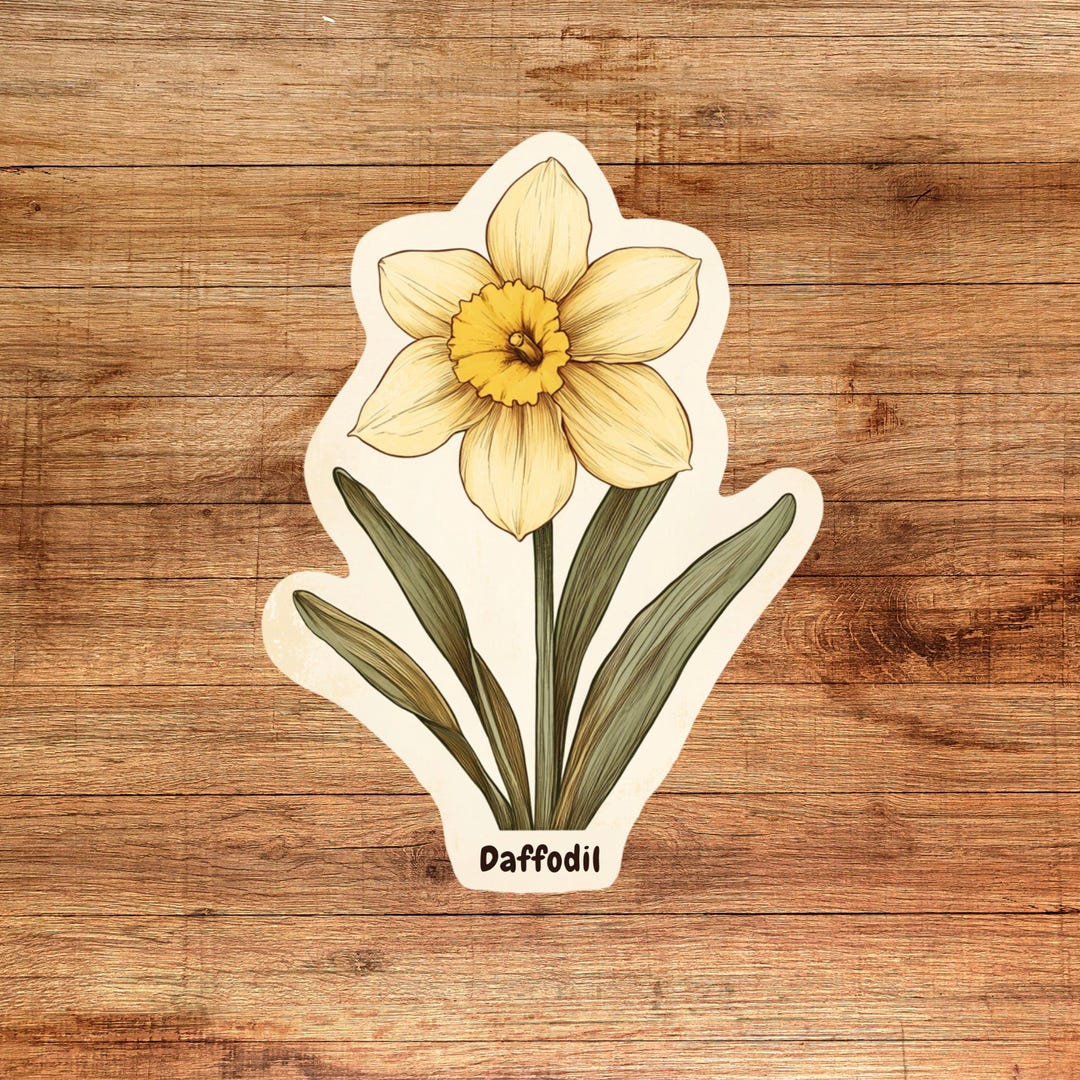 Daffodil Flower Sticker - March Birth Month Vinyl Decal, Floral Gift - Etsy