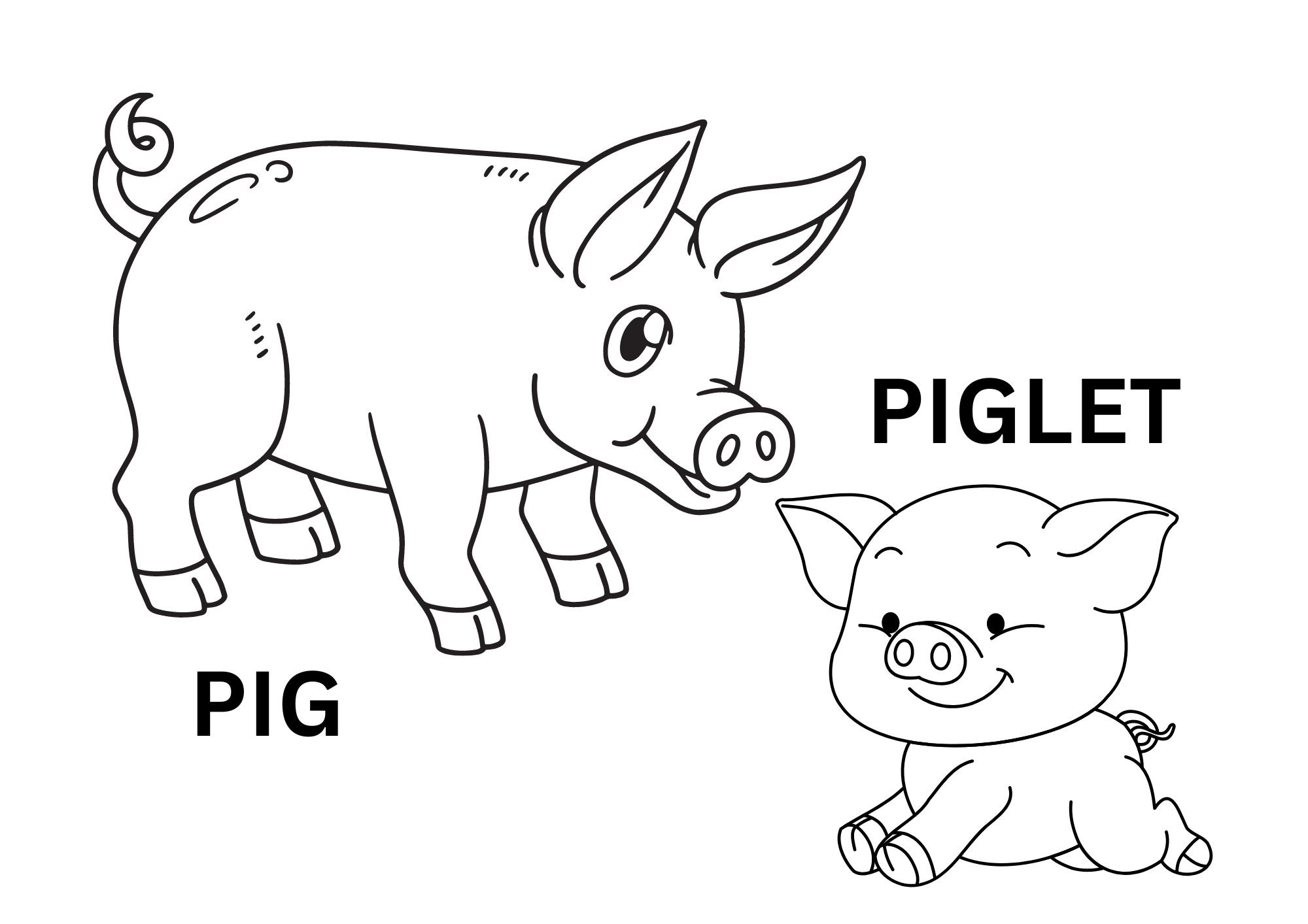 Old Mcdonald Had a Farm Animal Coloring Book for Kids Fun & Educational ...