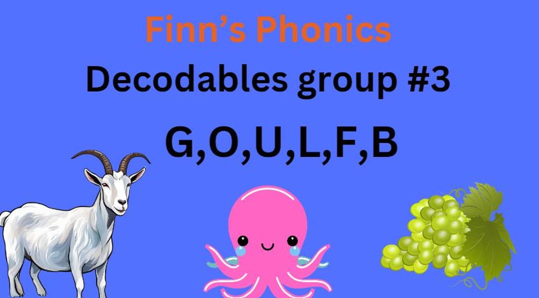 Finn's Phonics Decodables Group 3 GOULFB - Etsy