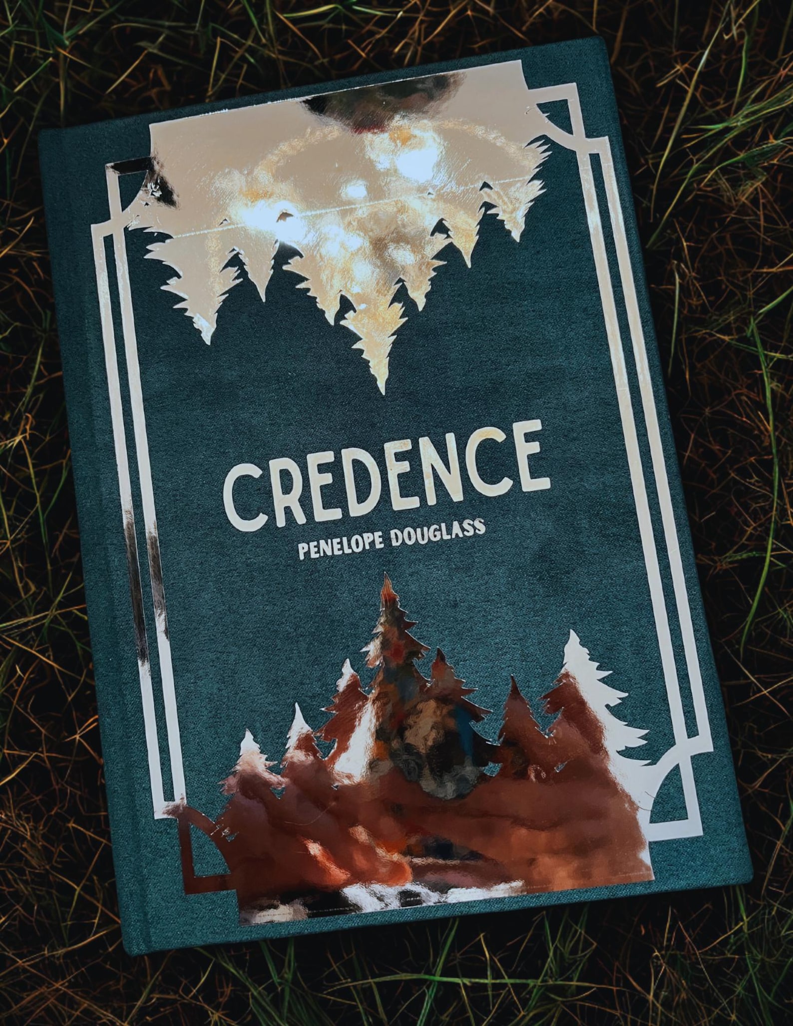Credence by Penelope Douglass - Custom Rebind - Etsy