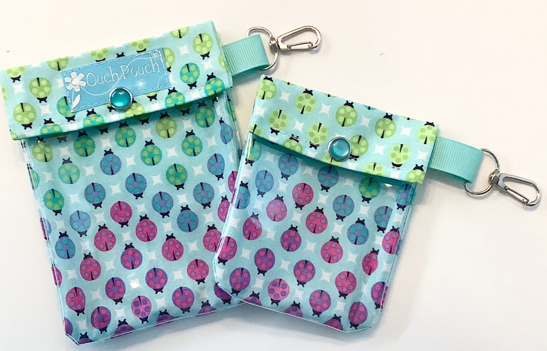 Clearance Aqua Ladybugs Clear Front Clip Bags Ouch Pouch 2 - Etsy