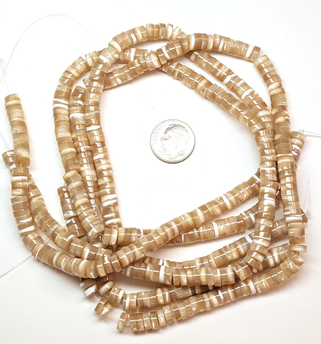 Troca Shell Heishi 6mm - Etsy