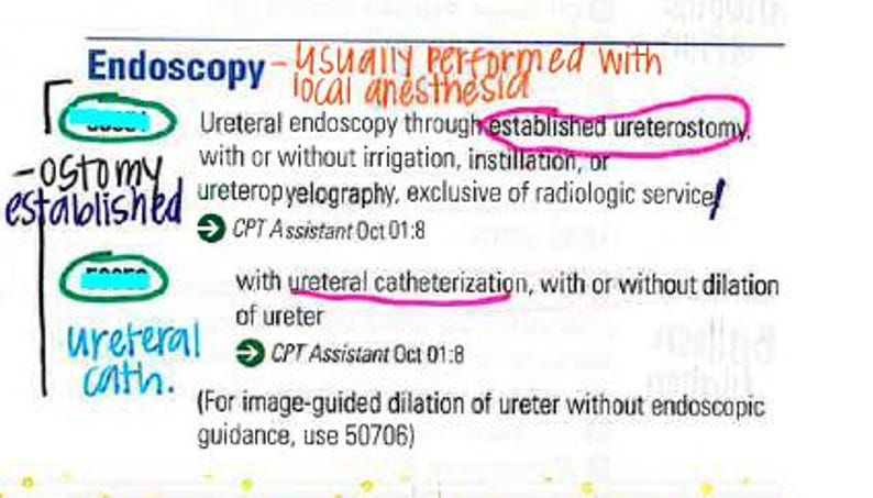 CPT Surgery / URINARY System Book Notes (2025 - UPDATED) - Etsy