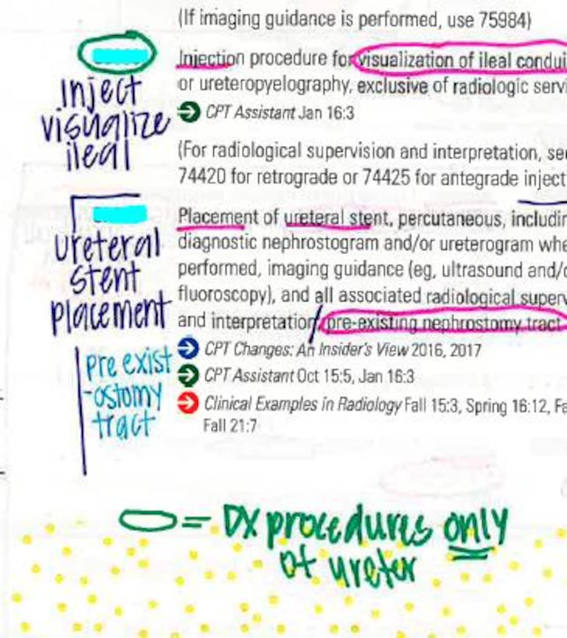 CPT Surgery / URINARY System Book Notes (2025 - UPDATED) - Etsy