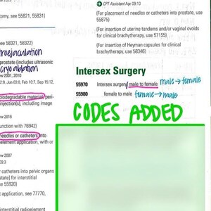CPT Surgery / MALE Genital System Book Notes (2025 - UPDATED) - Etsy