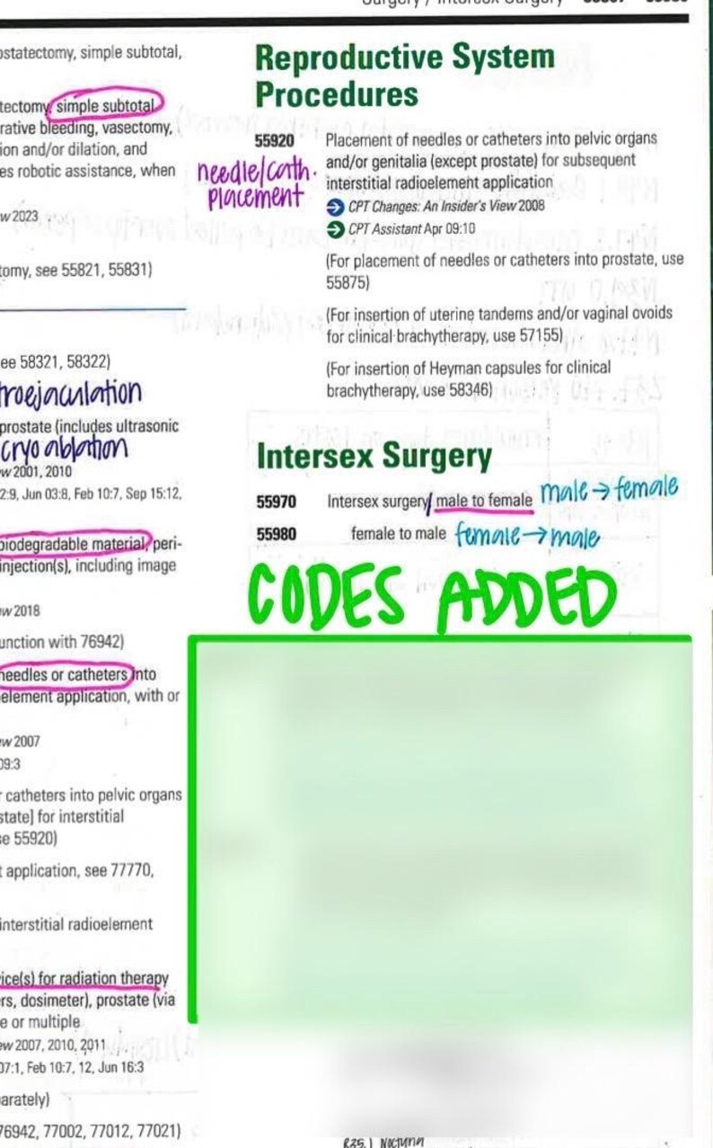 CPT Surgery / MALE Genital System Book Notes (2025 - UPDATED) - Etsy