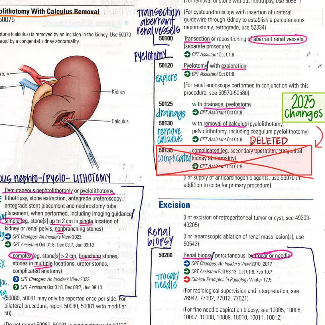 CPT Surgery / URINARY System Book Notes (2025 - UPDATED) - Etsy
