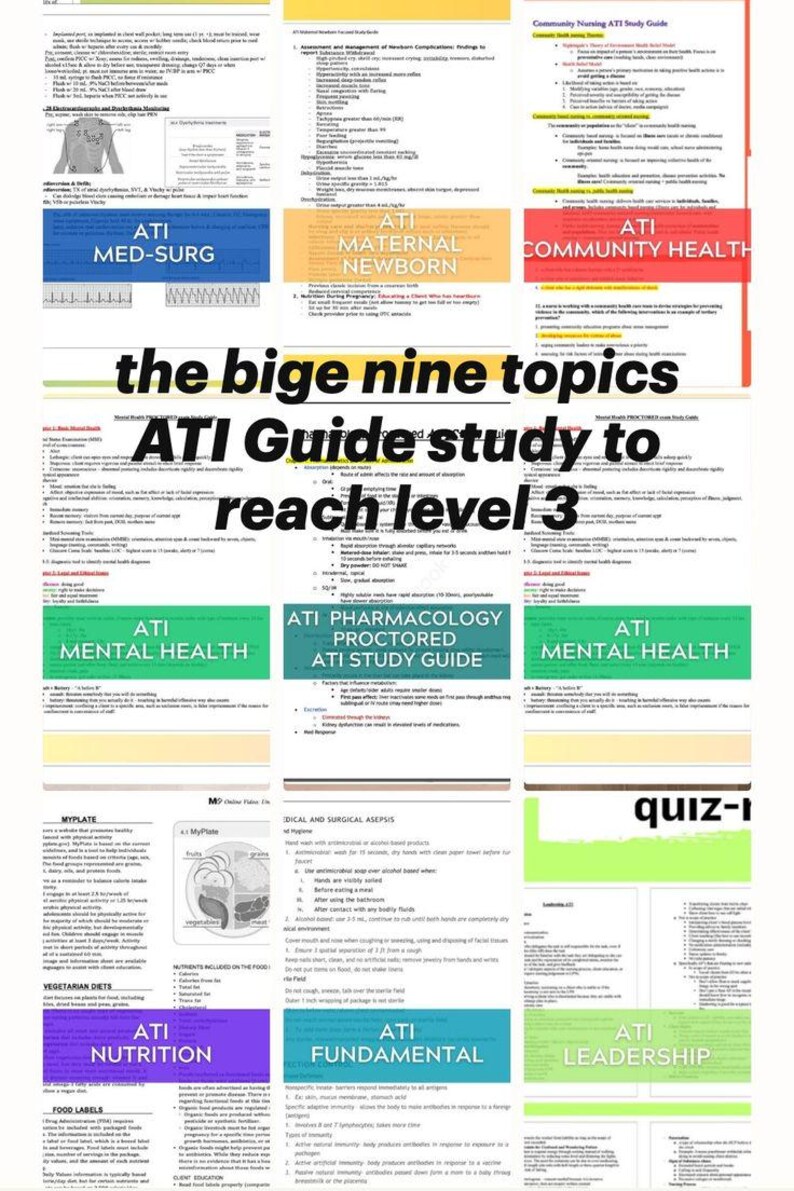 The Ultimate ATI Guide Study Passe Ati Exit Exams ,comprehensive ...
