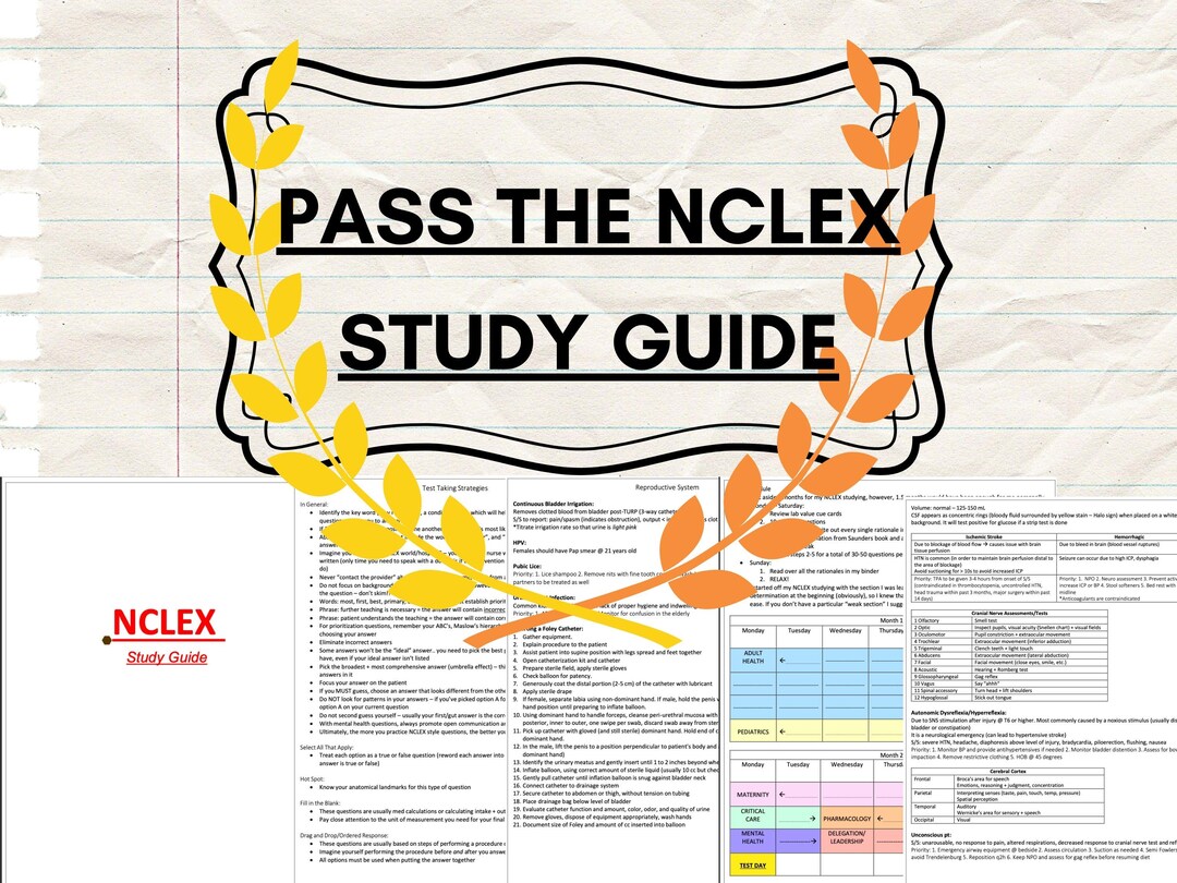 Pass the Nclex - Study Guide , A Compilation of High-yield NCLEX Topics ...