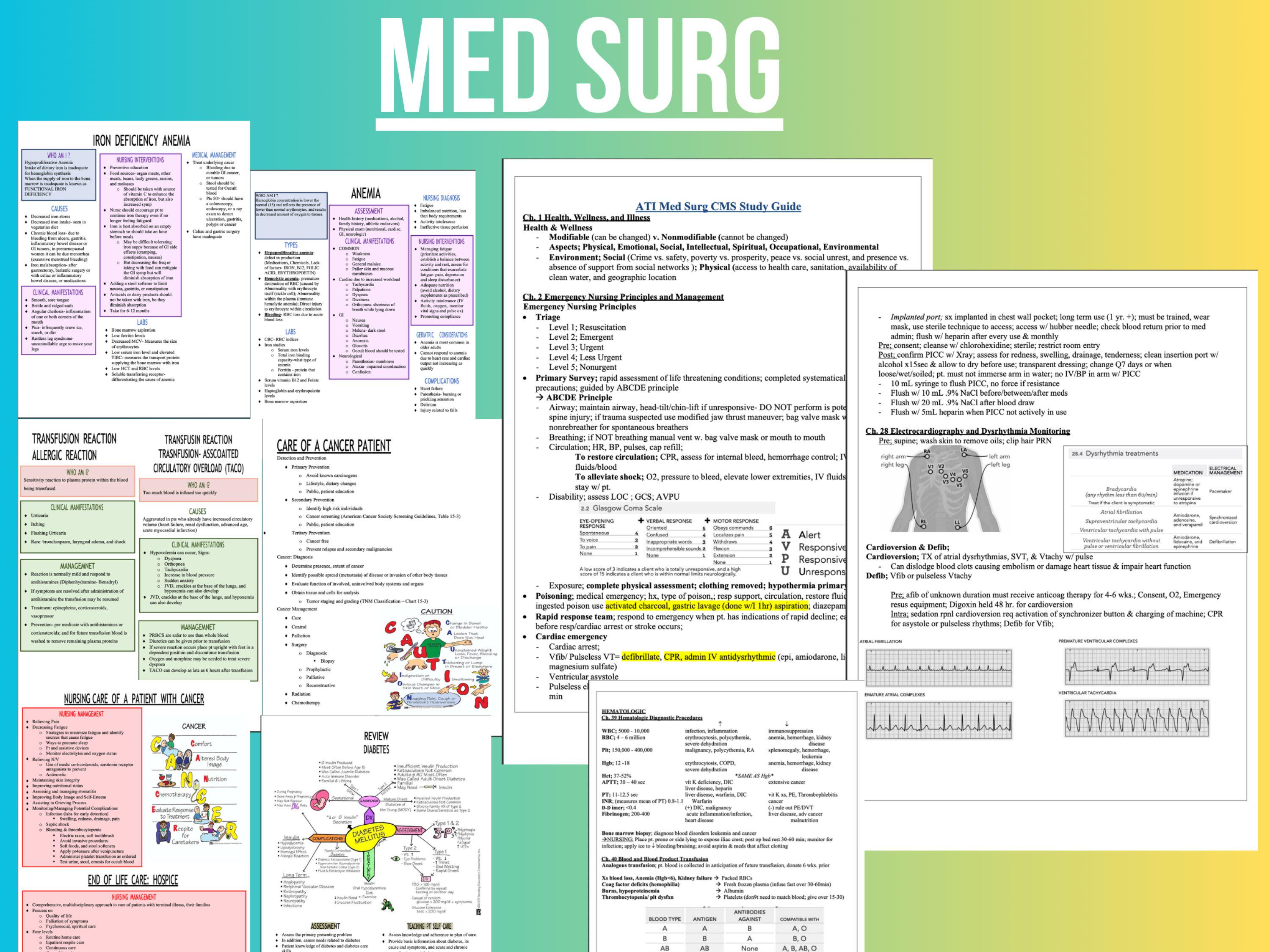 The Ultimate ATI Guide Study to Reach Level 3, Passe Ati Exit Exams ...