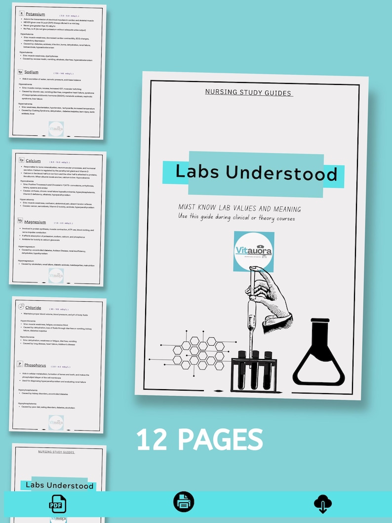 Essential Lab Values for Nurses: Quick Reference Guide - LABS ...