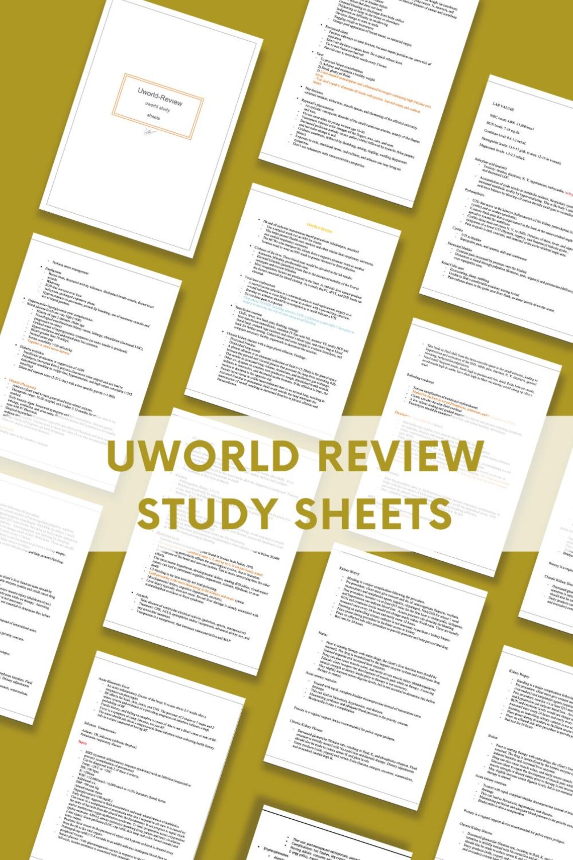 UWORLD NCLEX Prep Guide: Pass With Confidence |comprehensive Prep for ...