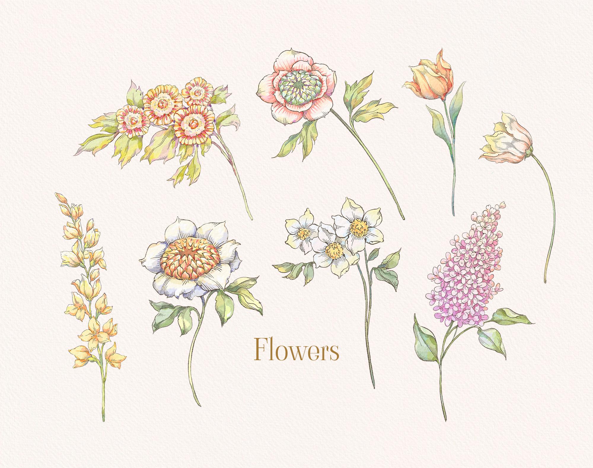 Belle Wood Watercolor Vintage PNG Clipart, Vintage Flowers, Bouquet ...